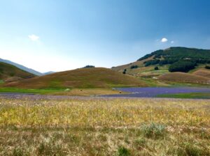 Non partire senza visitare le meraviglie naturali della Val d’Orcia